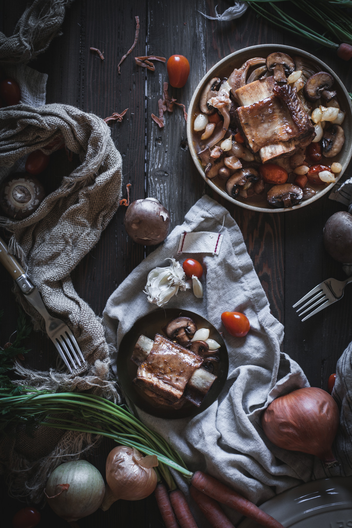 Braised Short Ribs with Fennel | Adventures in Cooking