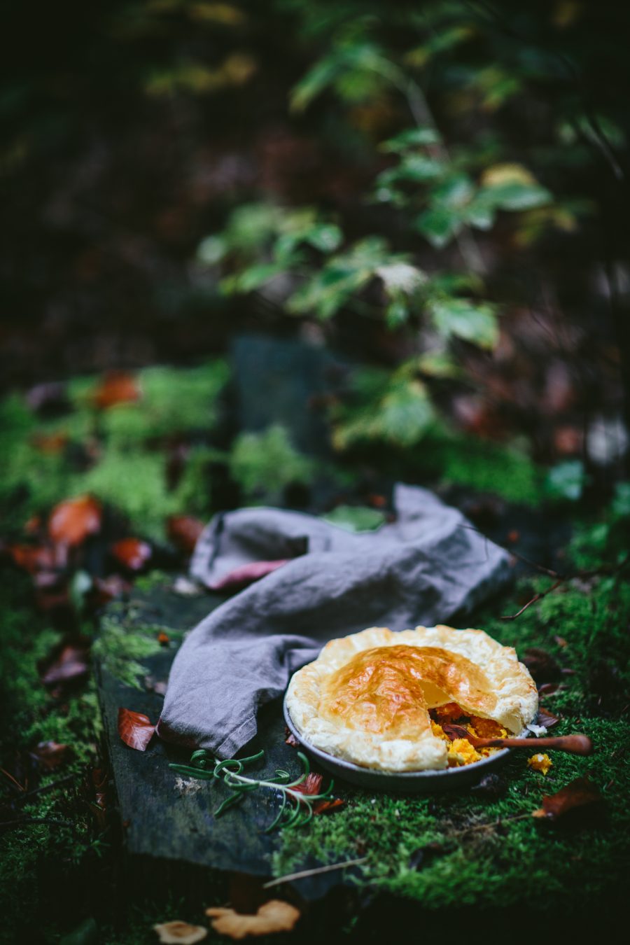 Savory Pumpkin and Rosemary Pie | A Picnic With Marta Greber ...
