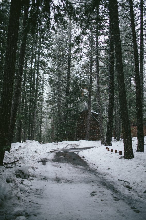 Secret Supper | Wintertide | Adventures in Cooking