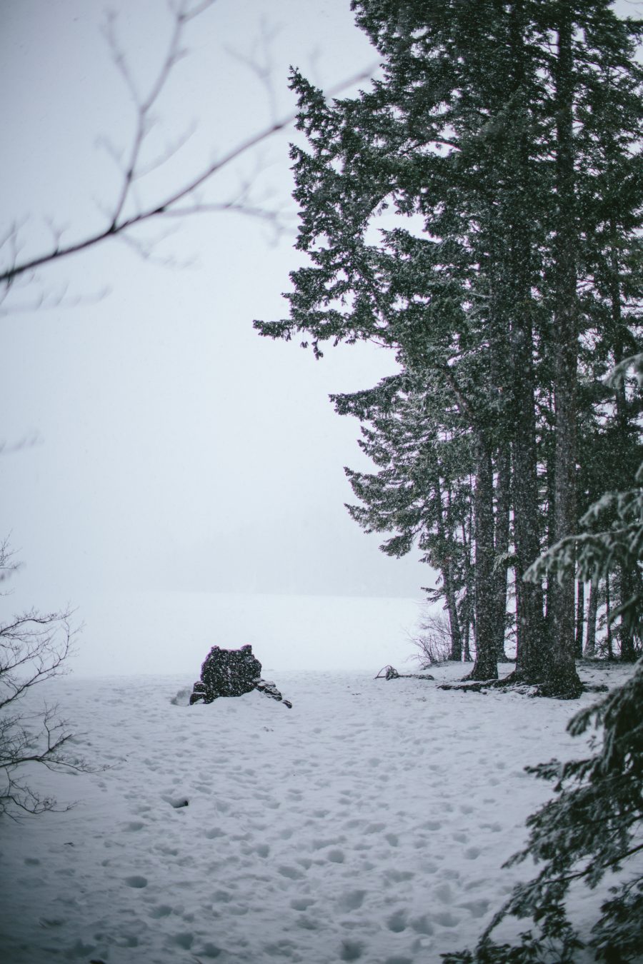 Secret Supper | Wintertide | Adventures in Cooking