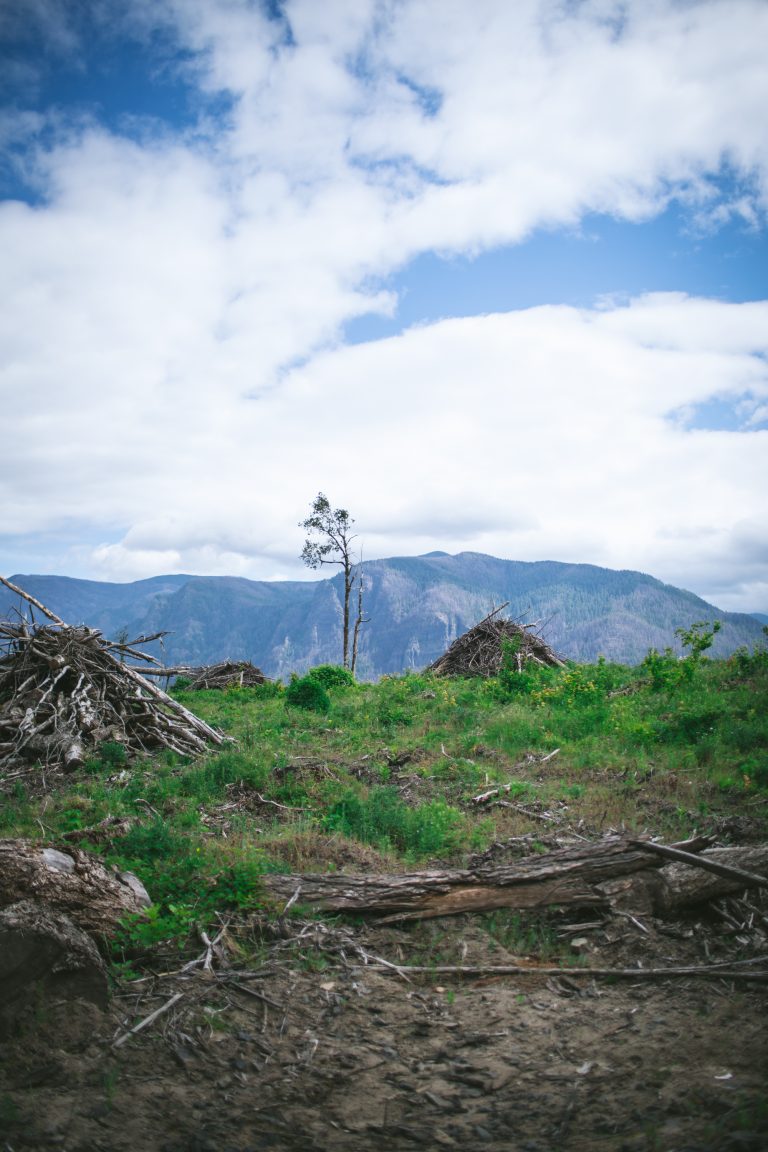 The Wind River Homestead | Adventures in Cooking