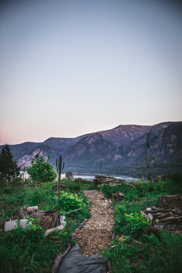 Homestead | Adventures in Cooking