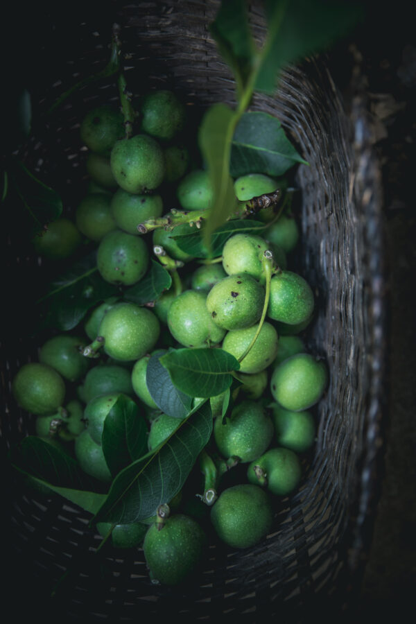 Nocino - A Recipe for Italian Walnut Liqueur | Adventures in Cooking